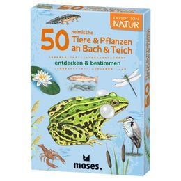 50 heimische Tiere & Pflanzen an Bach & Teich