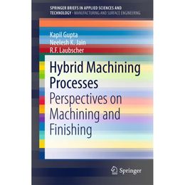 Springer International Publishing Hybrid Machining Processes - Kapil Gupta, Neelesh K. Jain, R. F. Laubscher, Kartoniert (TB)