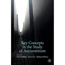 Key Concepts in the Study of Antisemitism, Kartoniert (TB)