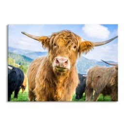 Pixxprint Glasbild Blick einer Kuh an der Weide
