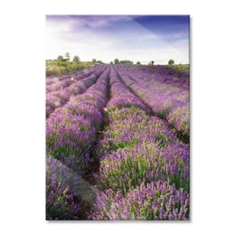 Pixxprint Glasbild Lavendelfeld Provence