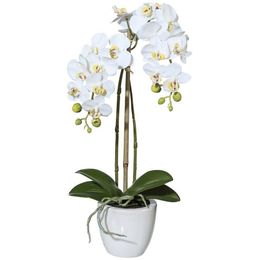 Kunstpflanze Orchidee Phalaenopsis Orchidee, Creativ green, Höhe 43 cm, im Keramiktopf, weiß