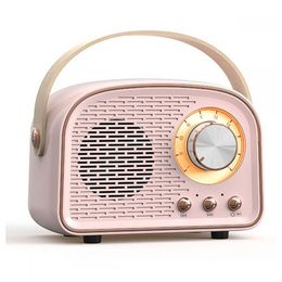Bizaical Mini Radio Klein