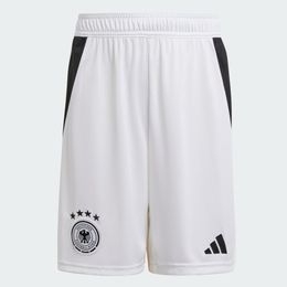 Adidas DFB 24 Kids Heimshorts