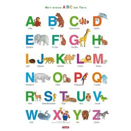 Fragenbär-Lernposter: Mein erstes ABC der Tiere (in der Schulbuch-Druckschrift) L 70 x 100 cm
