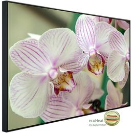 papermoon Infrarotheizung "Weisse Orchidee" Heizkörper Gr. B/H/T: 100 cm x 60 cm x 3 cm, 600 W, bunt (kunstmotiv im aluminiumrahmen) Heizkörper
