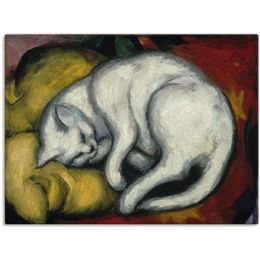 Wandbild Artland "Die weisse Katze. 1912" Bilder Gr. B/H: 120 cm x 90 cm, Leinwandbild Haustiere, 1 St., weiß Kunstdrucke