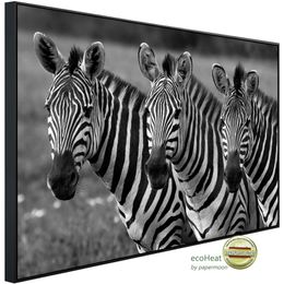 papermoon Infrarotheizung "Zebras Schwarz & Weiß" Heizkörper Gr. B/H/T: 100 cm x 60 cm x 3 cm, 600 W, bunt (kunstmotiv im aluminiumrahmen) Heizkörper