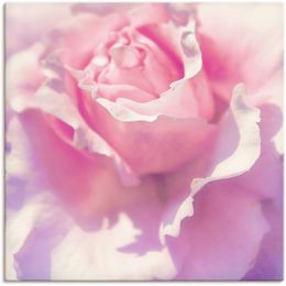 Wandbild Artland "Rosa" Bilder Gr. B/H: 100 cm x 100 cm, Leinwandbild Blumen, 1 St., pink Kunstdrucke