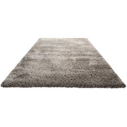 Hochflor-Teppich HOMIE LIVING "Matteo HL-0961" Teppiche Gr. B/L: 80 cm x 400 cm, 50 mm, 1 St., braun (braun, beige) Esszimmerteppiche