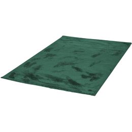 Teppich Dekowe "Blanche" Teppiche Gr. B/L: 160 cm x 230 cm, 20 mm, 1 St., grün (tanne) Esszimmerteppiche Kurzflor, Uni Farben, leichter Glanz, weiche Qualität, Wohnzimmer