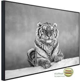papermoon Infrarotheizung "Tiger Portrait Schwarz & Weiß" Heizkörper Gr. B/H/T: 120 cm x 90 cm x 3 cm, 1200 W, bunt (kunstmotiv im aluminiumrahmen) Heizkörper