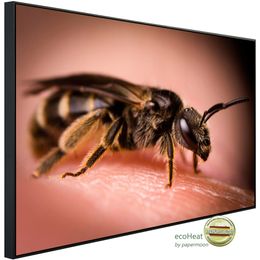 papermoon Infrarotheizung "Biene" Heizkörper Gr. B/H/T: 100 cm x 60 cm x 3 cm, 600 W, bunt (kunstmotiv im aluminiumrahmen) Heizkörper