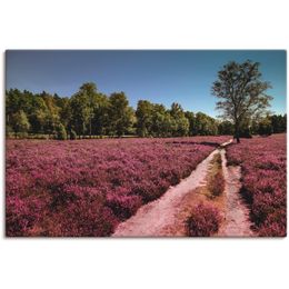 Leinwandbild Artland "Lüneburger Heide Romantik" Bilder Gr. B/H: 120 cm x 80 cm, Blumenwiese, 1 St., lila Leinwandbilder