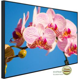 papermoon Infrarotheizung "Rosa Phalaenopsis Orchidee" Heizkörper Gr. B/H/T: 100 cm x 60 cm x 3 cm, 600 W, bunt (kunstmotiv im aluminiumrahmen) Heizkörper