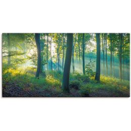 Wandbild Artland "Wald Panorama" Bilder Gr. B/H: 100 cm x 50 cm, Leinwandbild Waldbilder Querformat, 1 St., grün Kunstdrucke
