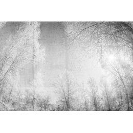 ARCHITECTS PAPER Fototapete "Atelier 47 Forest Glade 1" Tapeten Gr. B/L: 4 m x 2,7 m, grau (hellgrau, weiß, dunkelgrau) Fototapeten