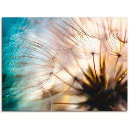 Wandbild Artland "Pusteblume Makro abstrakt" Bilder Gr. B/H: 80 cm x 60 cm, Leinwandbild Blumen, 1 St., beige (naturfarben) Kunstdrucke
