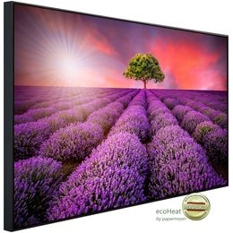 papermoon Infrarotheizung "Lavendelfeld in Sunburst" Heizkörper Gr. B/H/T: 120 cm x 90 cm x 3 cm, 1200 W, bunt (kunstmotiv im aluminiumrahmen) Heizkörper