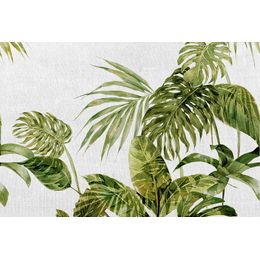 ARCHITECTS PAPER Fototapete "Atelier 47 Tropical Leaves Artwork 1" Tapeten Gr. B/L: 4 m x 2,7 m, grau (hellgrau) Fototapeten Natur