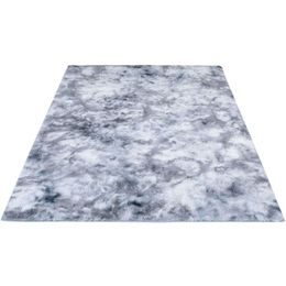 Hochflor-Teppich Carpet City "TOLEDO500" Teppiche Gr. B/L: 160 cm x 230 cm, 27 mm, 1 St., grau Esszimmerteppiche