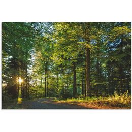Wandbild Artland "Waldweg im Romantischen Schwarzwald" Bilder Gr. B/H: 120 cm x 80 cm, Alu-Dibond-Druck Waldbilder Querformat, 1 St., grün Kunstdrucke