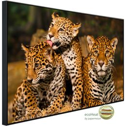 papermoon Infrarotheizung "Leoparden Familie" Heizkörper Gr. B/H/T: 100 cm x 60 cm x 3 cm, 600 W, bunt (kunstmotiv im aluminiumrahmen) Heizkörper