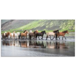 Glasbild Artland "Isländische Pferde XIV" Bilder Gr. B/H: 100 cm x 50 cm, Glasbild Haustiere Querformat, 1 St., beige (naturfarben) Glasbilder