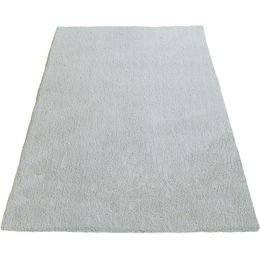 Teppich Andas "Malik" Teppiche Gr. B/L: 160 cm x 230 cm, 20 mm, 1 St., silberfarben Esszimmerteppiche