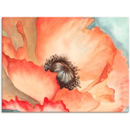 Wandbild Artland "Wasserfarben Mohn II" Bilder Gr. B/H: 120 cm x 90 cm, Leinwandbild Blumen Querformat, 1 St., rot Kunstdrucke