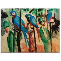 Leinwandbild Artland "Bei den Papageien" Bilder Gr. B/H: 120 cm x 90 cm, Vögel Querformat, 1 St., bunt Leinwandbilder