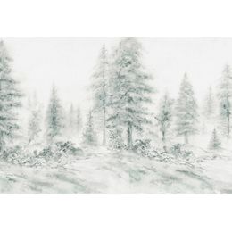 ARCHITECTS PAPER Fototapete "Atelier 47 Aquarel Forest 2" Tapeten Gr. B/L: 4 m x 2,7 m, grau (hellgrau, dunkelgrau, weiß) Fototapeten