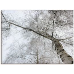 Wandbild Artland "Winter Birke" Bilder Gr. B/H: 120 cm x 90 cm, Leinwandbild Bäume Querformat, 1 St., grau Kunstdrucke