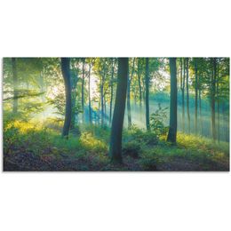 Wandbild Artland "Wald Panorama" Bilder Gr. B/H: 150 cm x 75 cm, Alu-Dibond-Druck Waldbilder Querformat, 1 St., grün Kunstdrucke