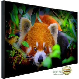 papermoon Infrarotheizung "Rotes Panda Porträt" Heizkörper Gr. B/H/T: 100 cm x 60 cm x 3 cm, 600 W, bunt (kunstmotiv im aluminiumrahmen) Heizkörper