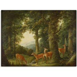 Leinwandbild Artland "Waldlandschaft mit Rotwild. Um 1760/70" Bilder Gr. B/H: 80 cm x 60 cm, Wald, 1 St., grün Leinwandbilder