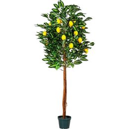 PLANTASIA - Zitronenbaum, Kunstpflanze, Kunstbaum, 180cm
