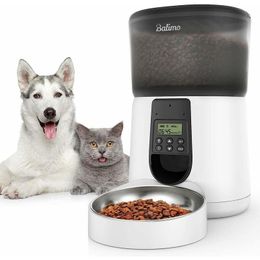 Paul 4L Automatischer Trockenfutterspender für Katzen und Hunde, Edelstahlnapf für Haustiere, Trockenfutterspender, programmierter Timer,
