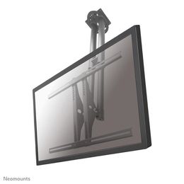 Neomounts PLASMA-C100 Deckenhalterung