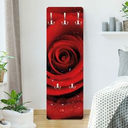 MICASIA Rosen Garderobe - Rote Rose mit Wassertropfen - Blumenbild Rot Größe HxB: 119cm x 39cm
