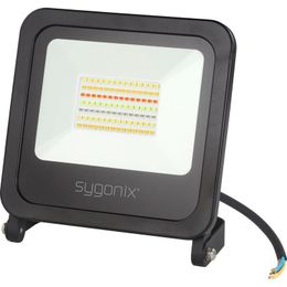 SY-4782322 LED-Außenstrahler eek: f (a - g) 45 w Neutralweiß, Warmweiß, rgb - sygonix
