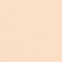 A.S. Création Tapete einfarbig Tapete uni Orange Terrakotta Pink Rosa Vliestapete Orange Terrakotta Pink Rosa 367251 36725-1 10,05 x 0,53 m - Orange / Terrakotta,
