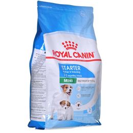 Shn Mini Starter Mutter & Babydog - Trockenfutter für Hunde - 4 kg - Royal Canin