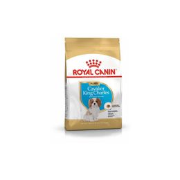 Royal Canin - bhn Cavalier King Charles Spaniel Puppy – Trockenfutter für Welpen – 1,5 kg