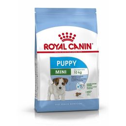 Royal Canin - shn Mini Puppy – Trockenfutter für Welpen – 4 kg