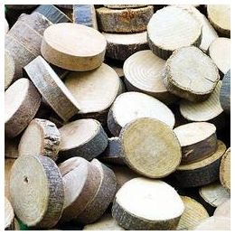 Ast-Holzscheiben (pro Packung) Bastelbedarf Natumaterialien