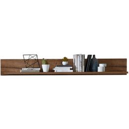 Lomadox Wandboard im Industrial look in Haveleiche Cognac MINNEAPOLIS-55 b/h/t: ca. 155/20/25cm - braun