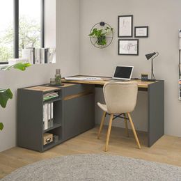 Lomadox Büromöbel Set anthrazit mit Eiche CRISP-61 modern 3-teilig mit Schreibtisch - anthrazit