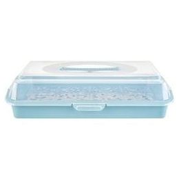 Kuchentransportbox in Hellblau/Transparent