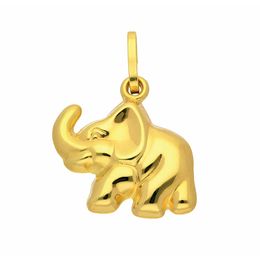Adelia´s Kette mit Anhänger ADELIA´S "333 Gold Elefant" Halsketten Gr. Gelbgold 333, goldfarben (gold) Damen Ketten mit Anhänger